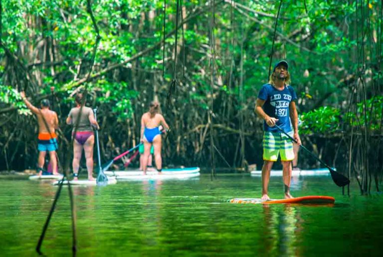 Mangrove Paddle Boarding - Manuel Antonio Vacation Rentals & Luxury Villas