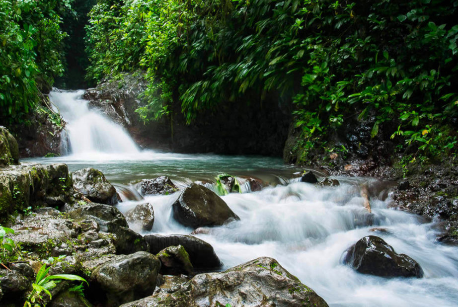 Rainmaker Reserve - Manuel Antonio Vacation Rentals & Luxury Villas